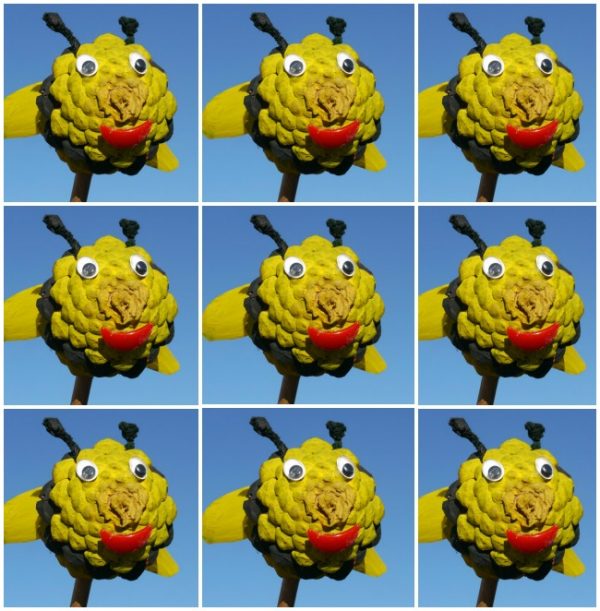 Pine cone craft that turned into a toy - Playtivities