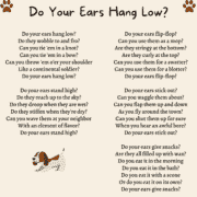 Do Your Ears Hang Low? Lyrics, Origins, and Video