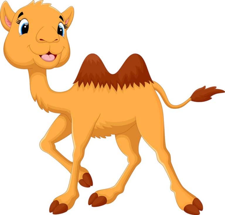 Alice The Camel Printable Lyrics, Origins, and Video