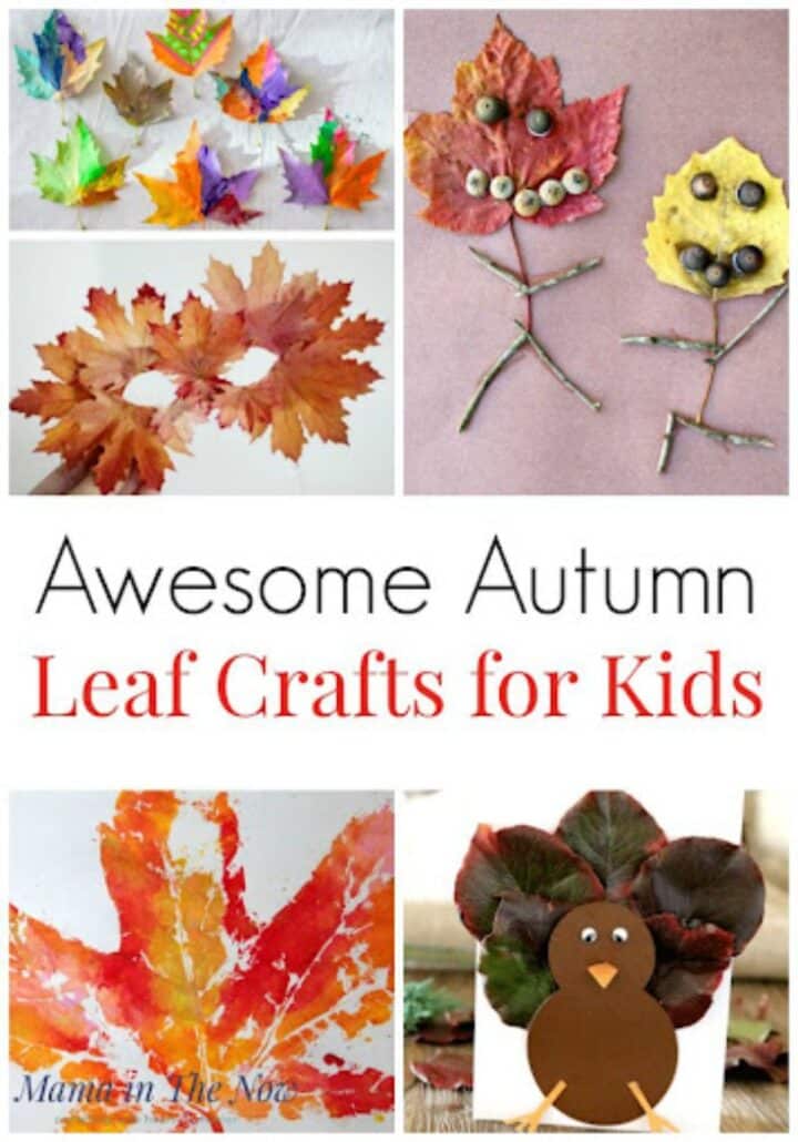 21 Exciting and Fun Outdoor Activities For Kids