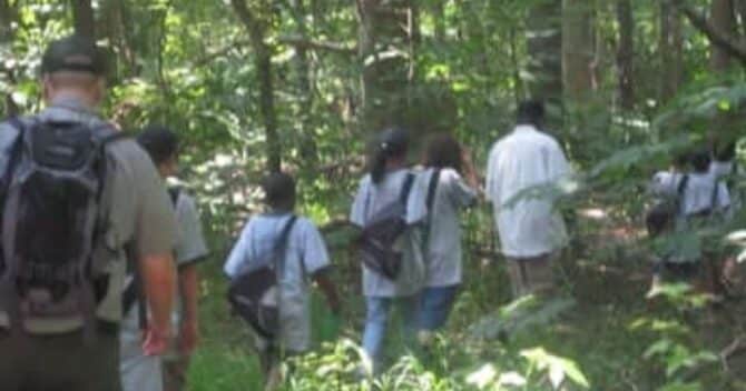 23 Fun and Easy Mindfulness Activities For Kids